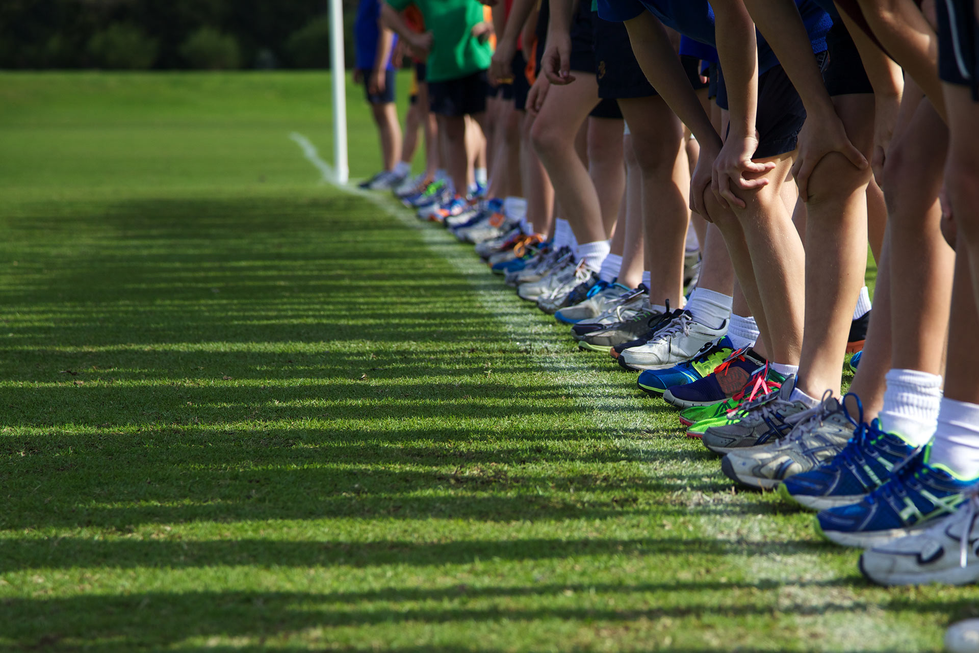 National Sports Tribunal